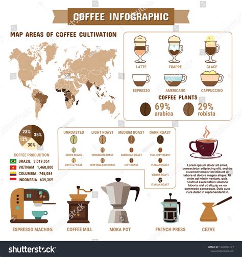 Coffee Infographic Coffee Types Their Preparation Stock Vector Royalty