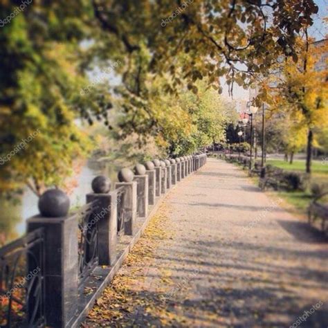 Green Tree CB Background Stock Green Tree CB Background Stock