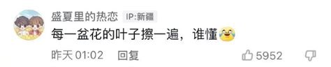 笑到肚子疼的沙雕搞笑幽默图片（二四九） 知乎