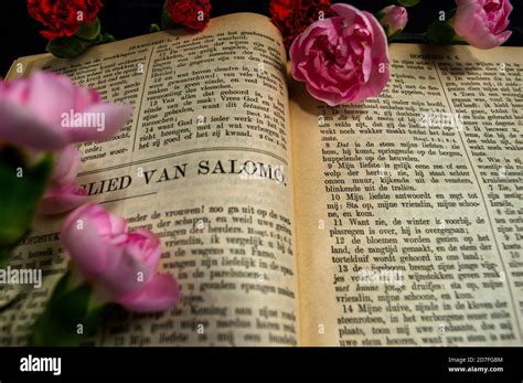 Canto Biblico Di Salomone Immagini E Fotografie Stock Ad Alta