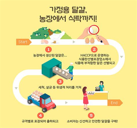 10월부터 달걀 위생관리 높인다 식용란 선별 포장 영업장에 Haccp 인증 의무 적용 디지틀조선일보디조닷컴
