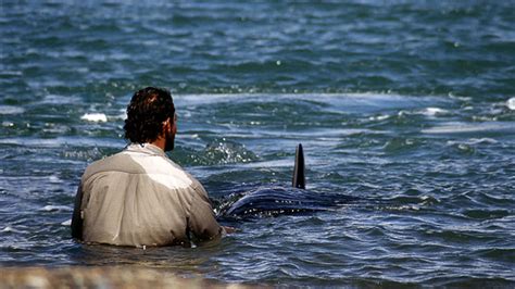 La Increíble Historia De Roberto Bubas El Argentino Que Se Hizo Amigo