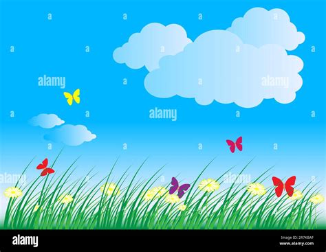 Summer Spring Nature Background Grass Butterflies Daisy Flowers