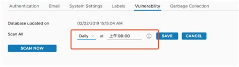 Unable To Configure Scan Time For Vulnerability · Issue 7006