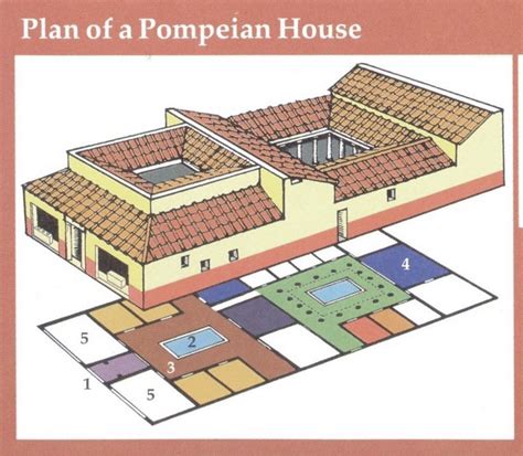 Latin 1 Nle Practice Complete Diagram Quizlet