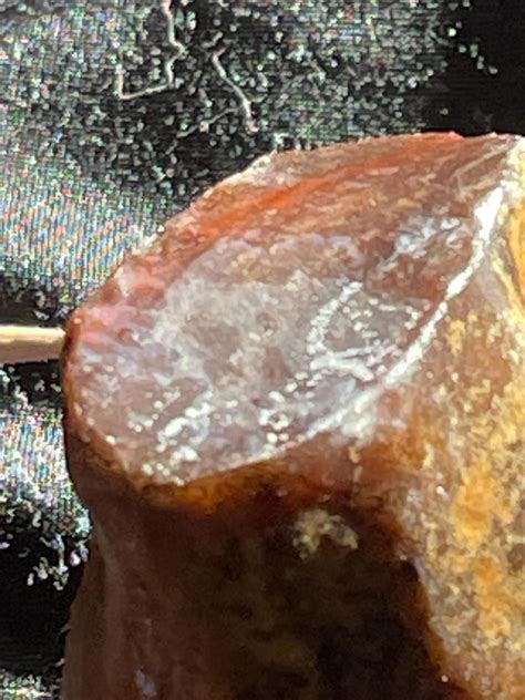 Red Cherry Amber “elfie” Petrified Tree Sap Etsy