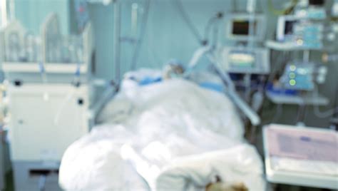 Brigitte Steger Massacrata Da Marito A Martellate Morta Dopo 10 Anni