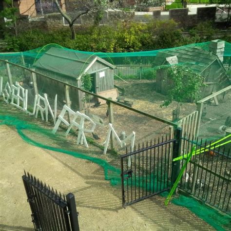 Bird Net 20m Width Easynets