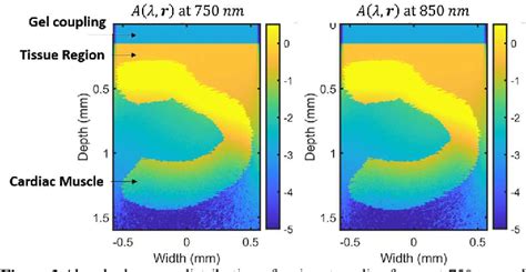 figure 1 from validation of cardiac oxygenation estimation algorithms