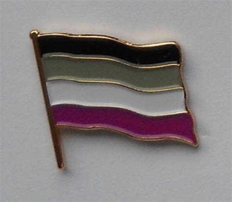 Asexual Pride Flag Enamel Pin Badge Asexual Pride Asexual The