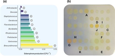 Compost Isolates Used In The Pairwise Competition Assays Bacteria Were