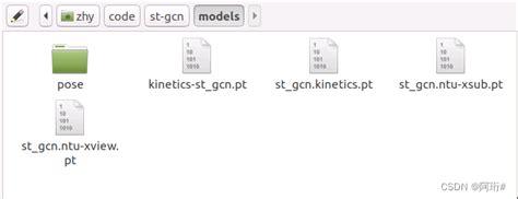 St Gcn复现过程（ubuntu2004gpu）（已完结） Csdn博客