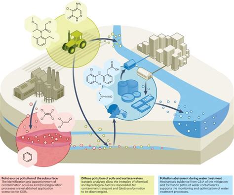 Perspectives Of Compound Specific Isotope Analysis Of Organic