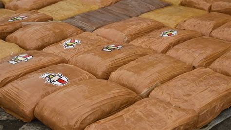 La ONU alerta La oferta mundial de cocaína está en niveles récord