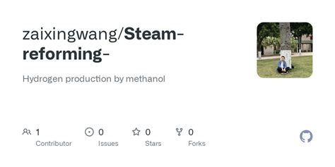 Github Zaixingwangsteam Reforming Hydrogen Production By Methanol