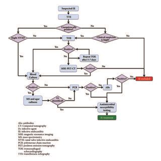 A Schematic Representation Of The Diagnostic Algorithm According To The Download Scientific