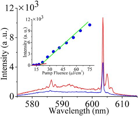 Lasing Spectra From The High Order Polymer Laser Pumped At