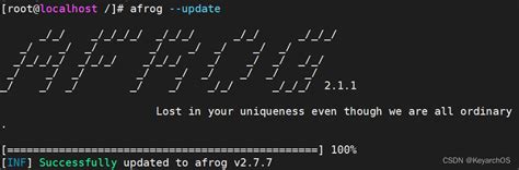 基于KeyarchOS KOS 部署的漏洞扫描工具afrog的安装与使用 afrog使用教程 CSDN博客