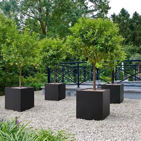 Wallowa Metallic Heavy Cube Planter Box Large Square Planter For Trees