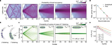 Trajectory Of Bound Photons A Time And Site Resolved Photon Occupancy