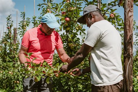 Teler In Beeld Hans Damen Dronten Stoker Organica