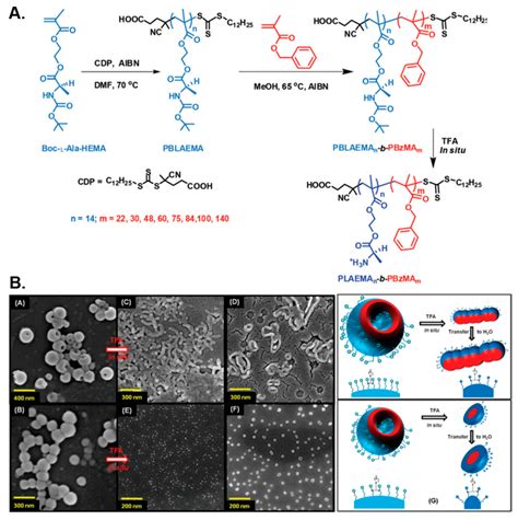 Protein Polypeptide And Amino Acid Based Nanostructures Prepared