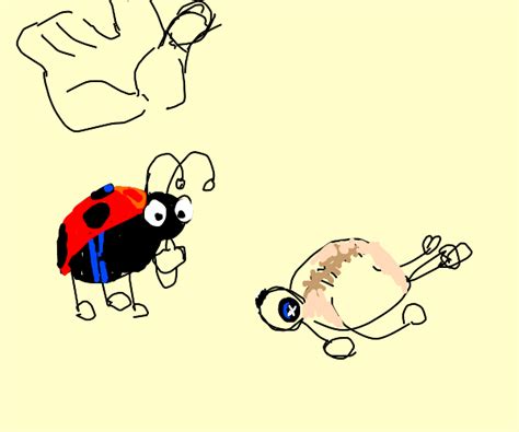 Scared Ladybug Drawception