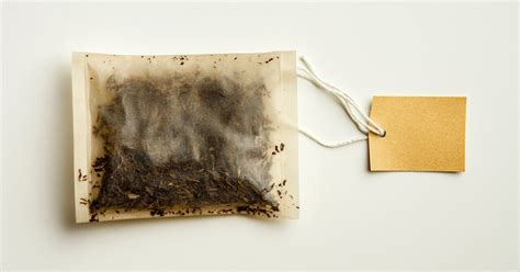 ¿las Bolsitas De Té Contienen Microplásticos Esto Es Lo Que Debes