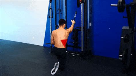 Back Workouts With Cables