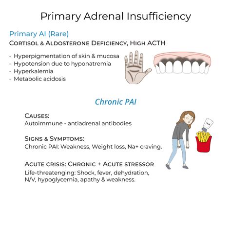 Clinical Pathology Glossary Adrenal Insufficiency Ditki Medical And Biological Sciences