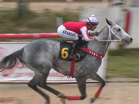 Paraty Confirma Favoritismo Em Porto Alegre