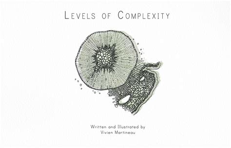levels of complexity on behance
