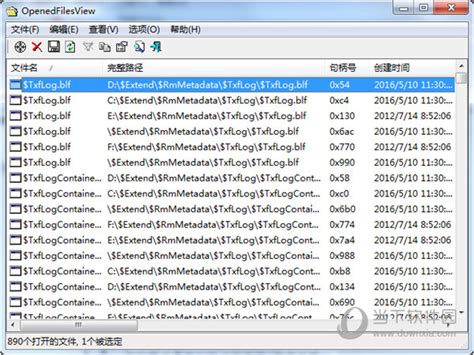 Process Explorer 中文版process Explorer电脑后台进程管理软件 V1621 绿色汉化版下载当下软件园