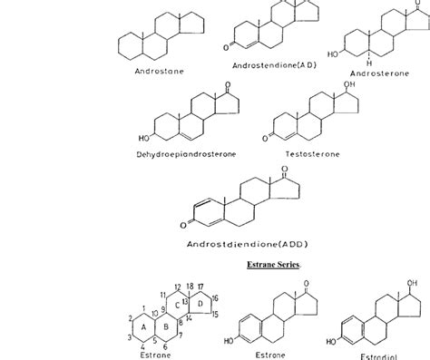 Androstane And Estrane Series Structures Download Scientific Diagram