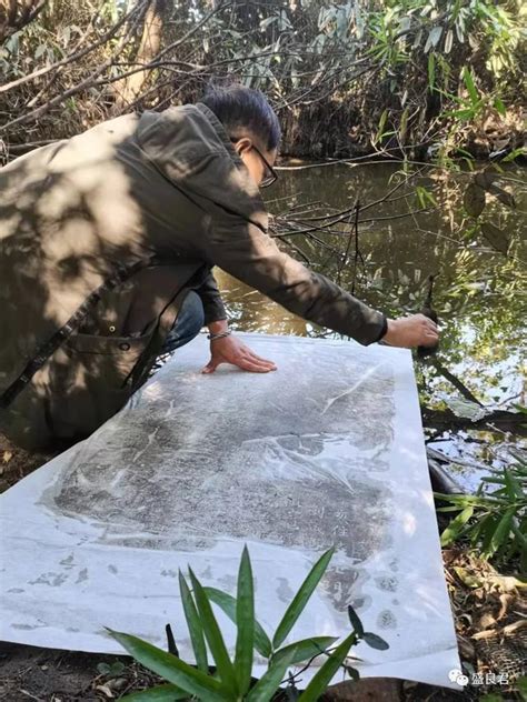 走讀山水長興 西林庵香火田碑記的發現與考證 每日頭條