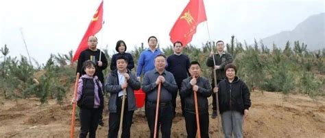 河南酒协党支部赴登封开展义务植树活动 大赛 发展 视频