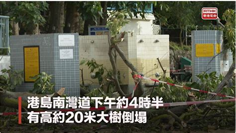 颱風泰利2304 圖 7｜香港天文台hko｜熱帶氣旋報告及刊物