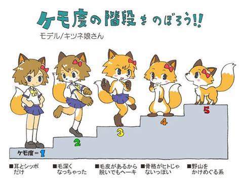 Kemono 毛球中心 灰机wiki 北京嘉闻杰诺网络科技有限公司
