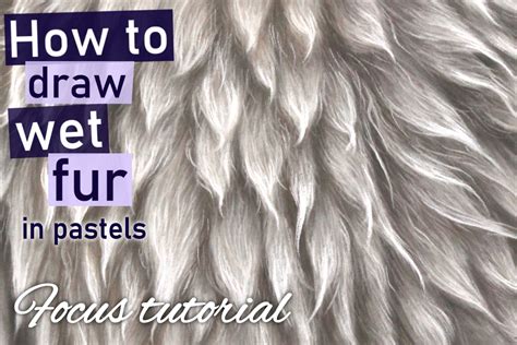 How To Draw Wet Fur Zara Toms Art