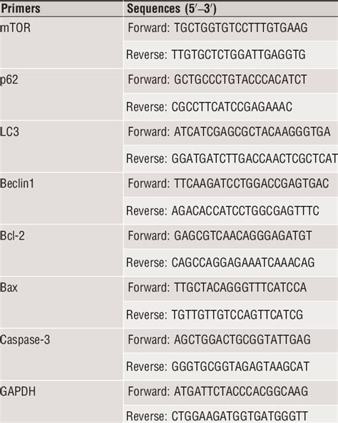 Primer Sequences For Rt Pcr Analysis Download Table