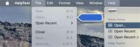 Xcode How Do I Get The Macos App Specific Help Menu Search Bar To Appear Stack Overflow