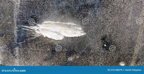 Traces Of Bullets And Fragments On The Armor Stock Image Image Of Weapons Real 275168479