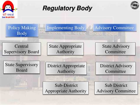 Ppt Pcpndt Act 1994 Powerpoint Presentation Free Download Id1182110