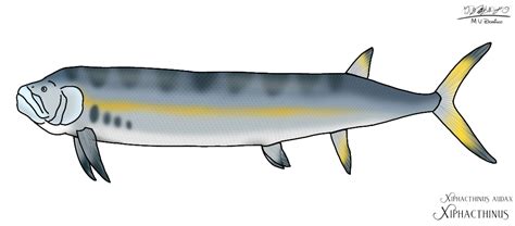 Xiphactinus Audax By Ognimdo2002 On Deviantart