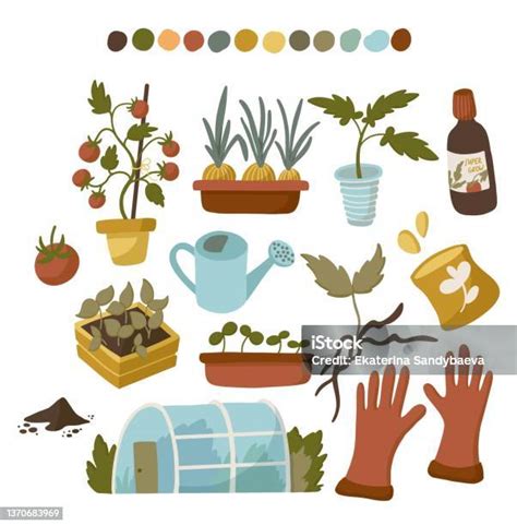 Ensemble Vectoriel De Semis Et Doutils De Jardin Objets De Dessin Animé