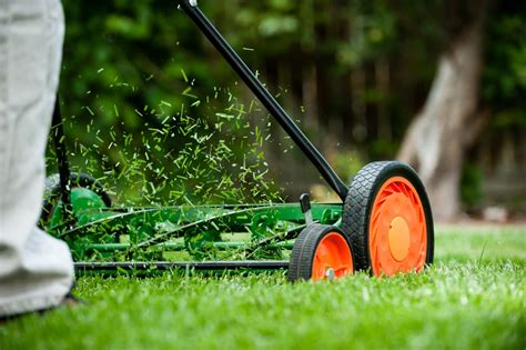 Ideas For Grass Clipping Uses What To Do With Grass Clippings