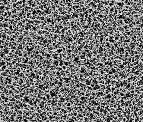 Sartorius Cellulose Nitrate Membrane Filter Pore Size 045 μmfilters