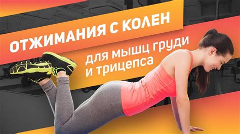Упражнения для мышц груди трицепса и плеч отжимания с колен Youtube