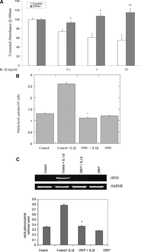 Opn Improves The Viability And Reduces No And Inos Production In Rinm5f Download Scientific