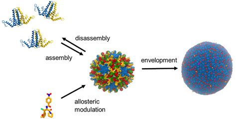 Hepatitis G Virus Structure